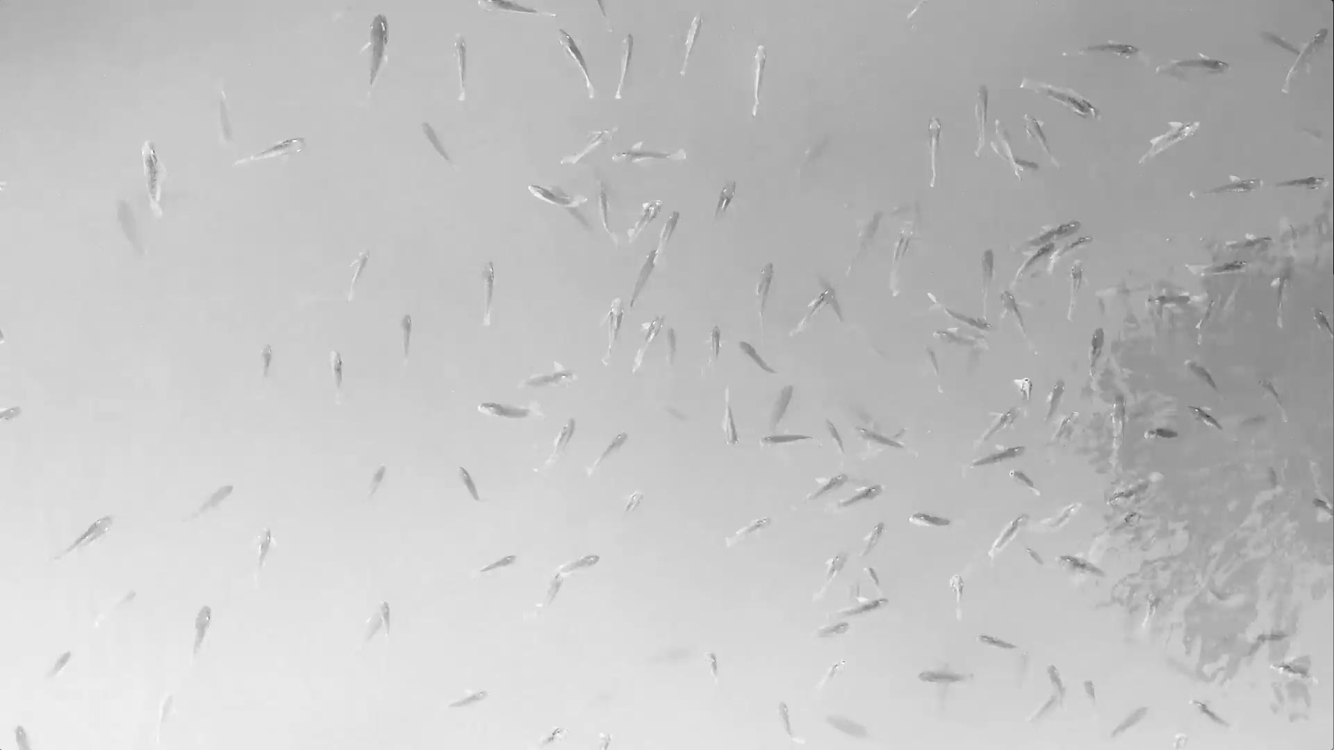 Bilim Okulu | Bilim ve Teknoloji Yaz Okulları